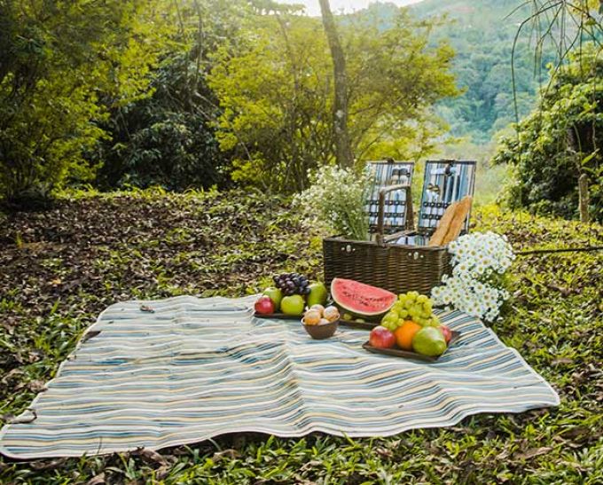 Pranzo Pic Nic - Adulti